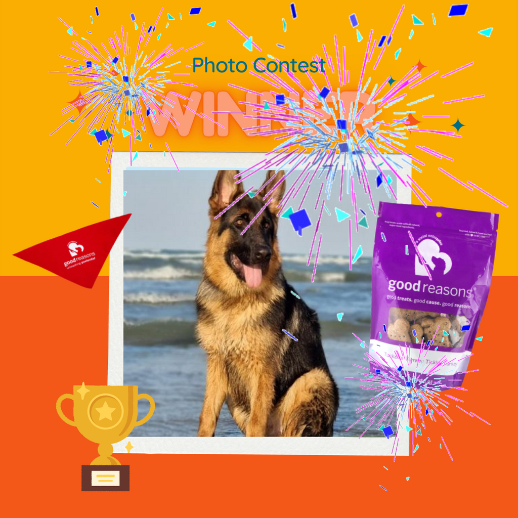 Congratulations to the Winner of Our Photo Contest! – Good Reasons Dog ...